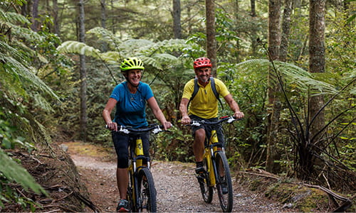 Best Day Rides to e.Bike This Summer